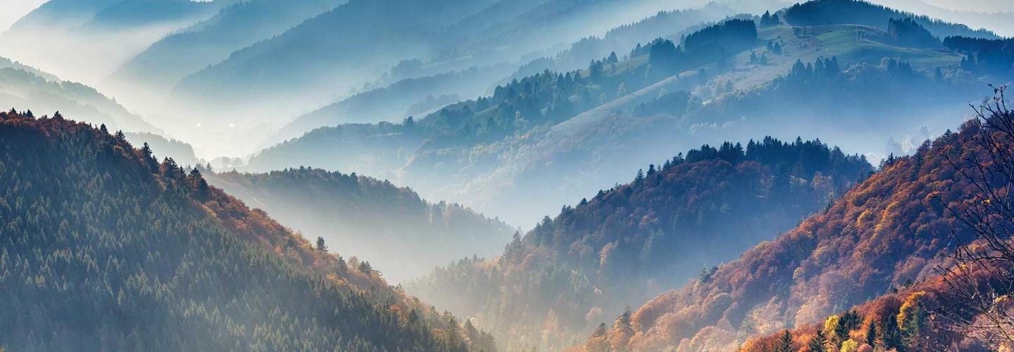 Home | Acacia Wealth Management